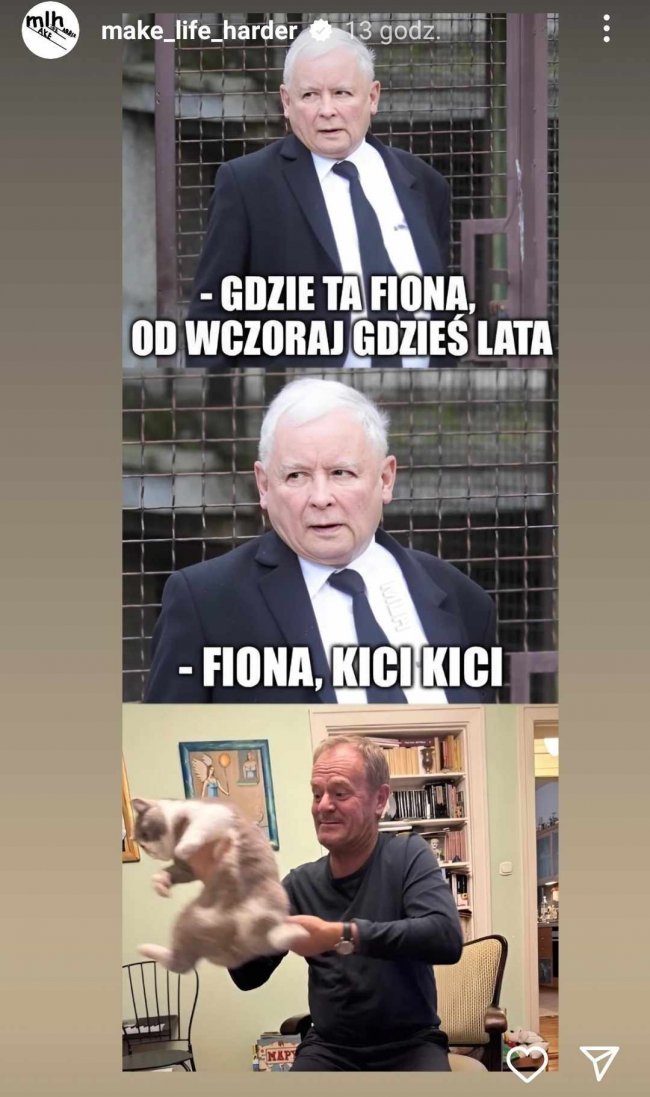 Donald ma nowego kota. Internauci porównują go do znanego futrzaka i ...